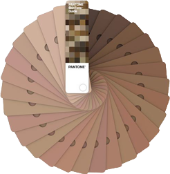 pantone skin tone guide | Fashion Room
