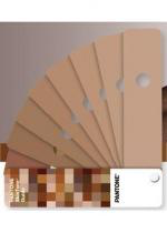 pantone skin tone guide | Fashion Room